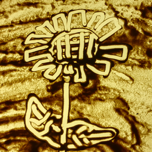 鸿蒙“五界”英文名： 问界：Aito。余承东多次强调这个名字起得很不错，注册下来可不容易……25亿就便宜赛力斯了！ 智界：Luxeed。代表 ...