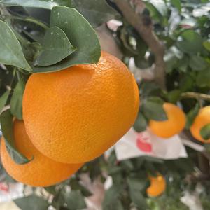 赵长江离开腾势去方程豹。 发文总结称，腾势D9第一，N9第二，Z9第一。 老邓很迷惑，仔细看了又看，原来前面是有定语的： 比如，40万以上，35万以上等等。 实际市场销量，N9属于一般，Z9 ...